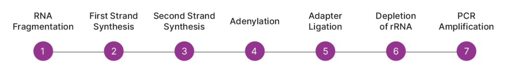 CRISPRclean™ Stranded Total RNA Prep with rRNA Depletion (Human, Mouse, Rat) | Jumpcode Genomics